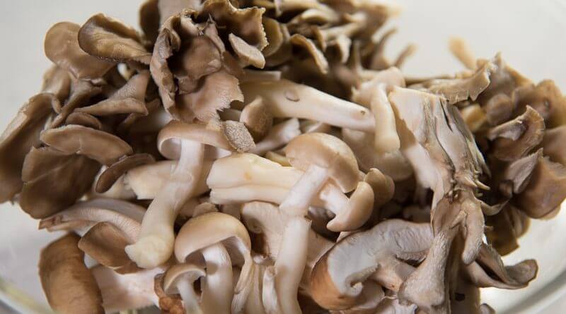 Kinoko Pasta | With 9 Tips to Make this a Success - All Day I Eat ...