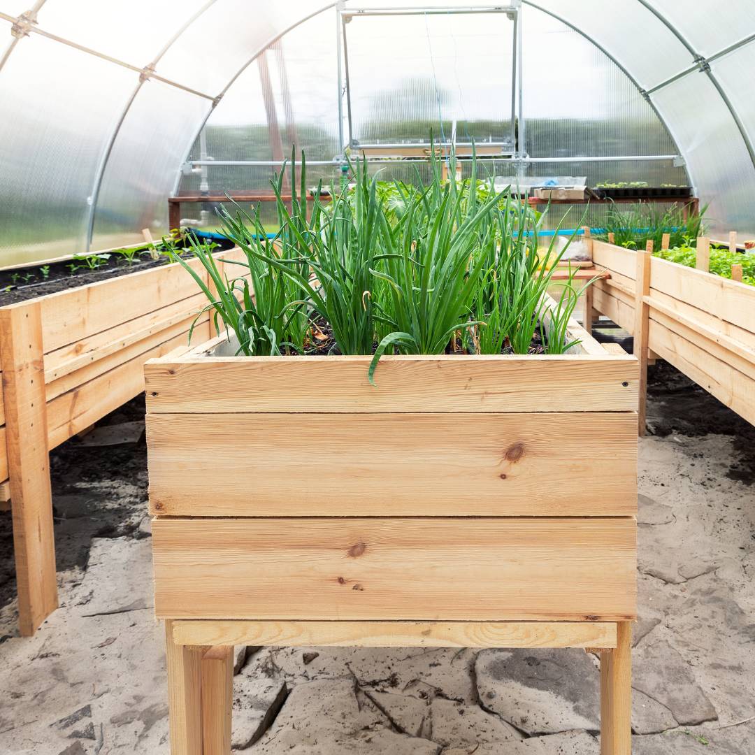 The Top 7 Materials For Raised Planters