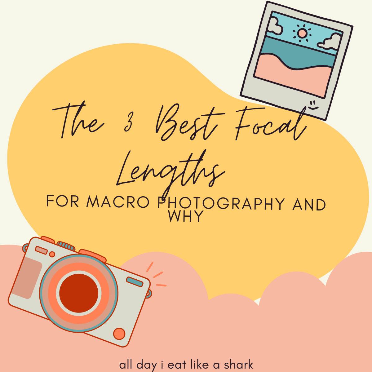 The 3 Best Focal Lengths For Macro Photography And Why