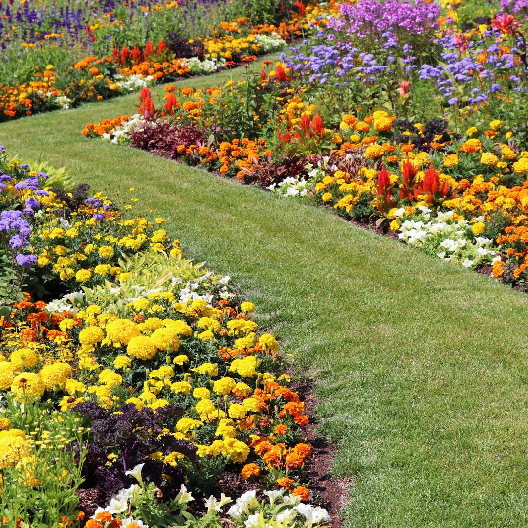 Blooming Beauties: Inspiring Concepts For Raised Flower Beds