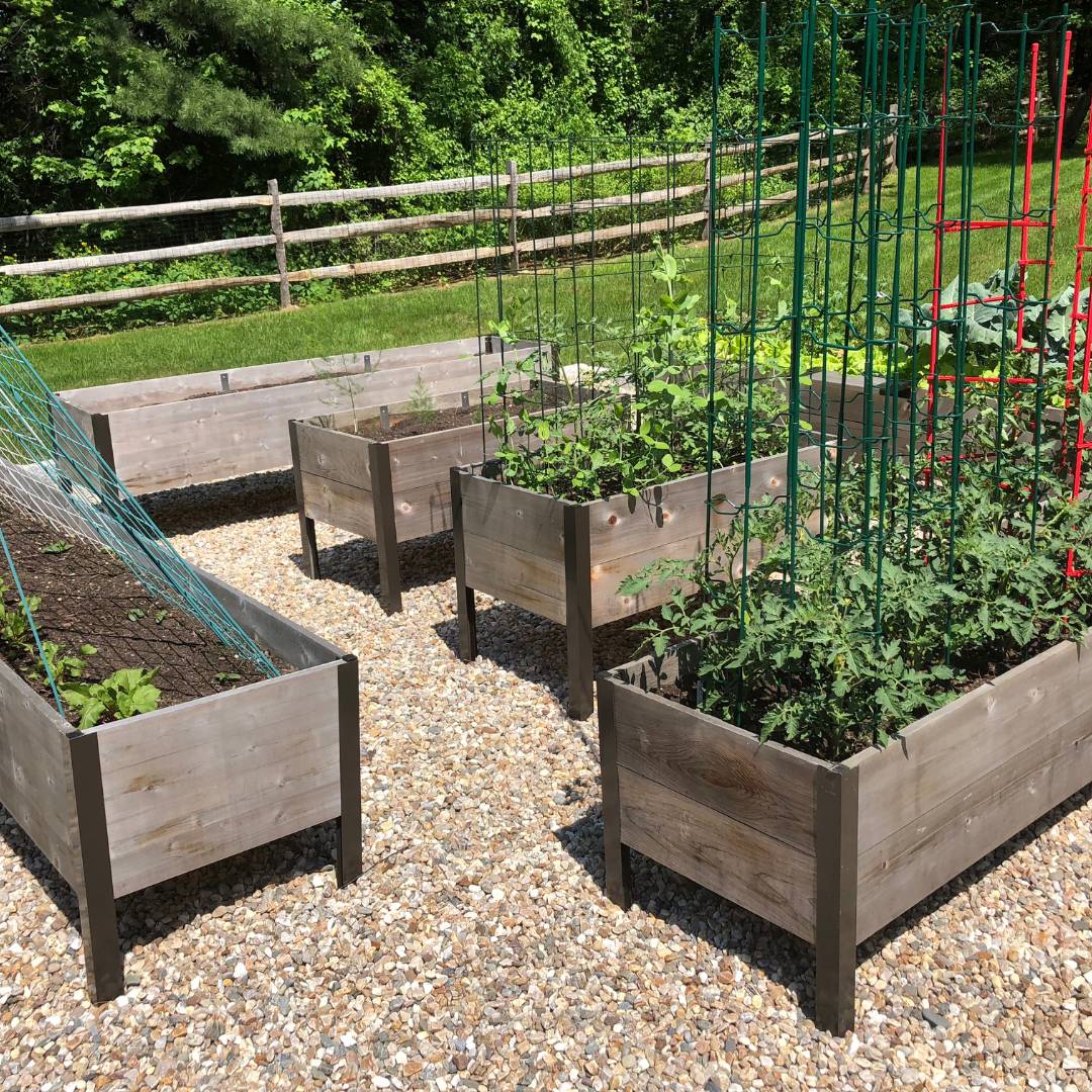 Raised Planter Box And Other Gardening Methods