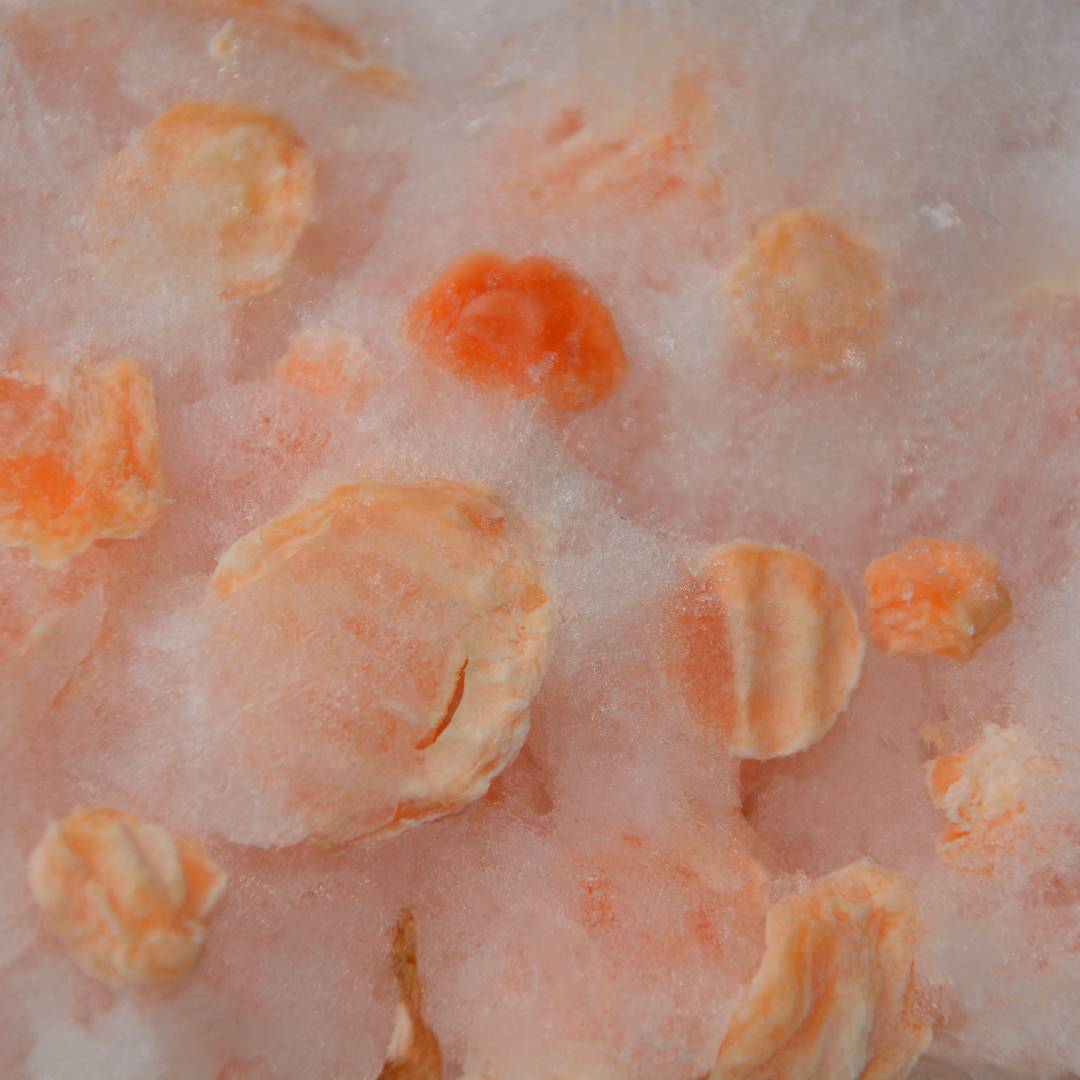 Can You Freeze Sushi? A Comprehensive Guide to Freezing Sushi Safely ...