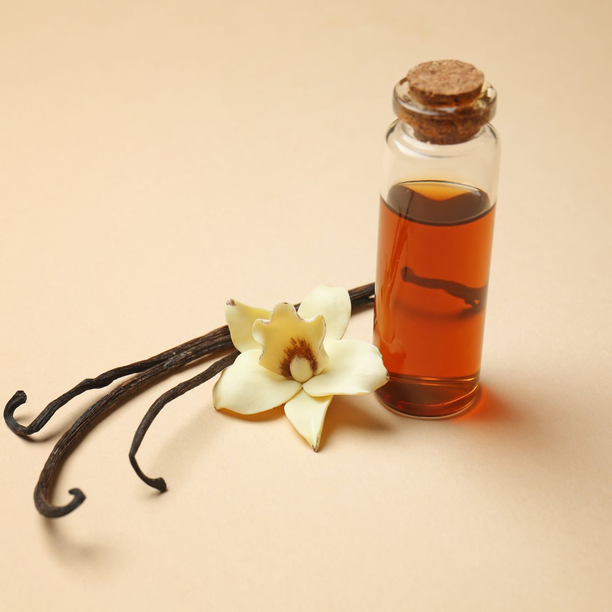 Is There Sugar In Vanilla Extract? All You Need To Know