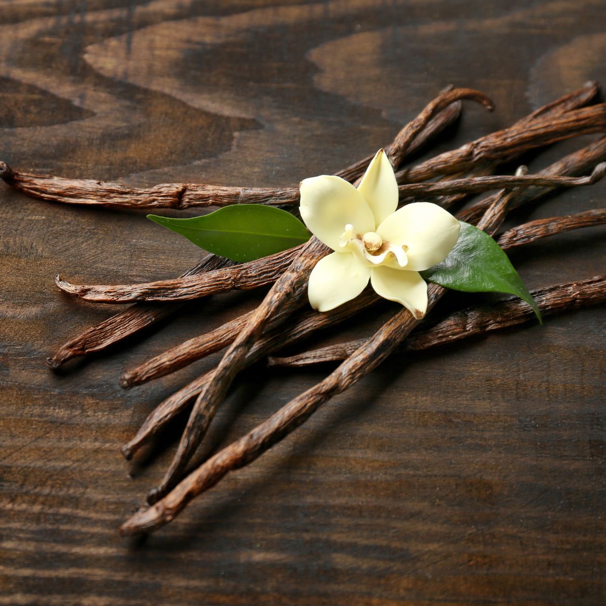 Vanilla Extraction 101: How Is Vanilla Extract Made?