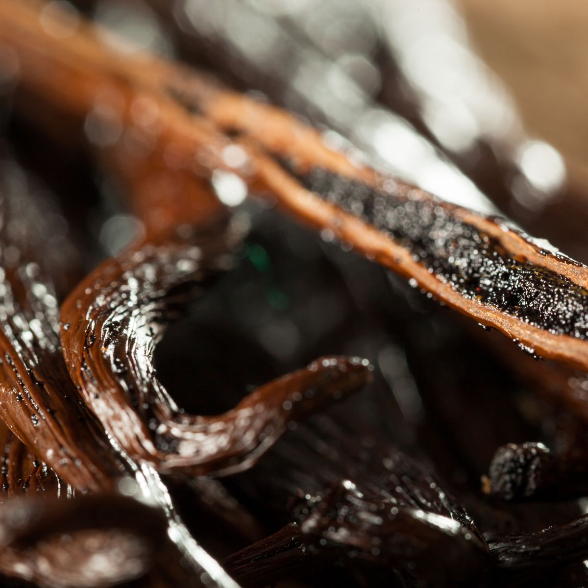 Vanilla Extraction 101: How Is Vanilla Extract Made?