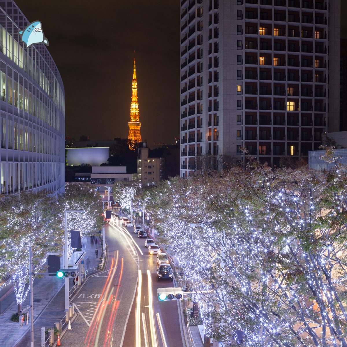 Best Time To Visit Tokyo (4 Seasons And Year-Round)