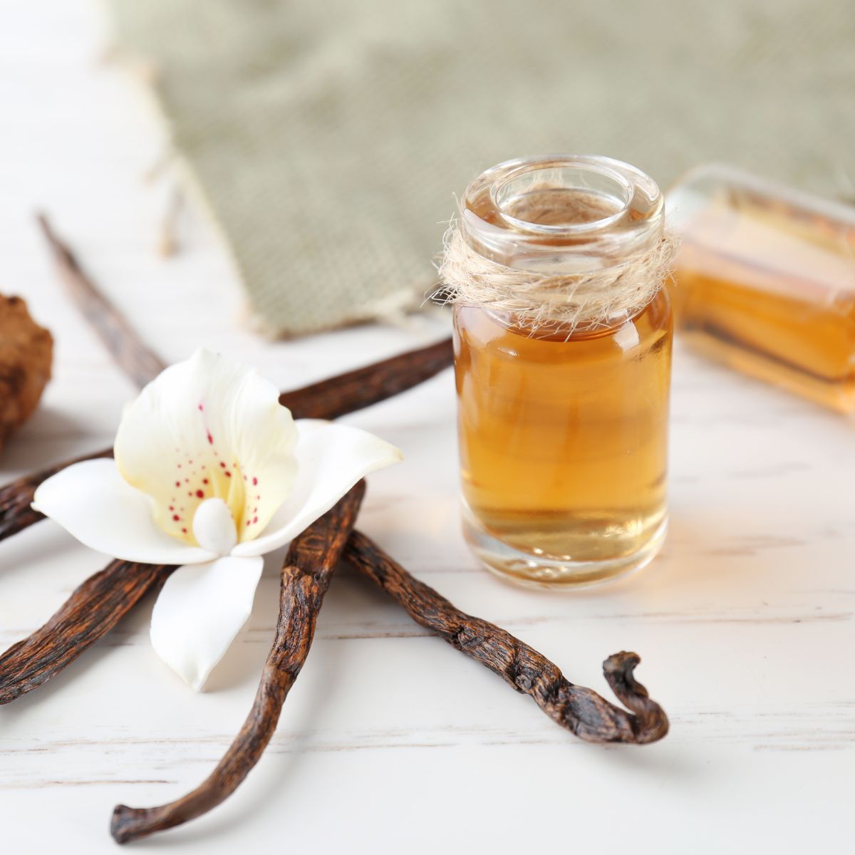 Vanilla Extract Guide: All Your Whats And Hows Answered