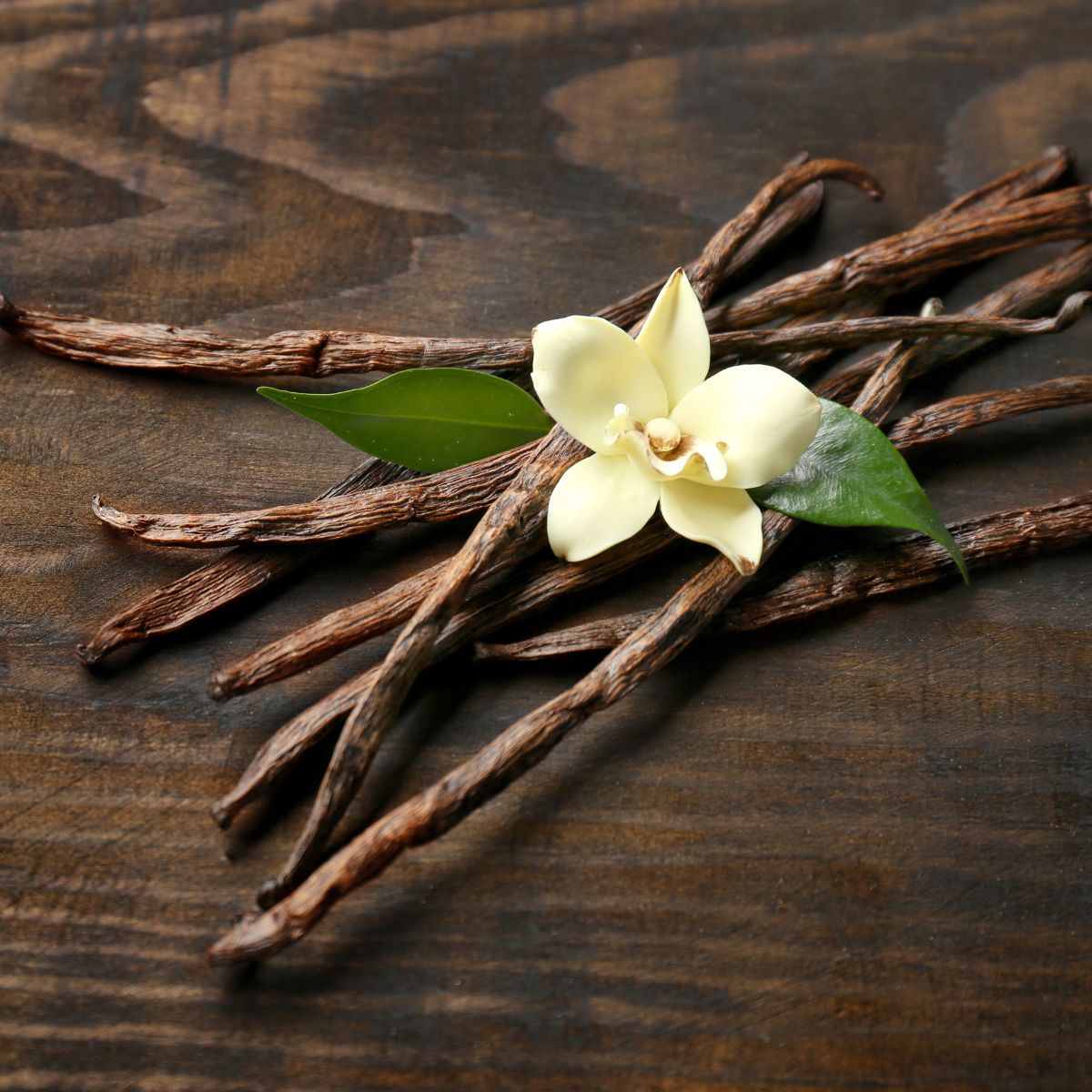 Vanilla Extract Guide: All Your Whats And Hows Answered