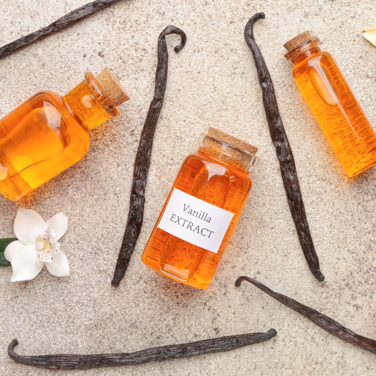 Vanilla Extract Guide: All Your Whats And Hows Answered