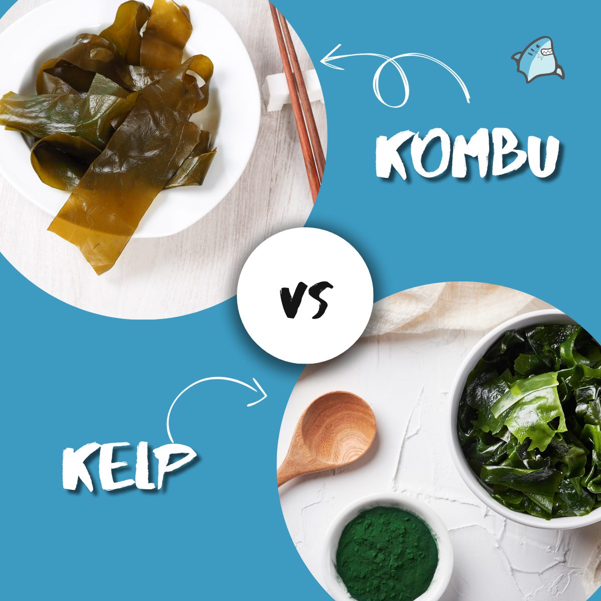 Kombu Vs Kelp (5 Facts For Your Next Delicious Culinary Adventure)