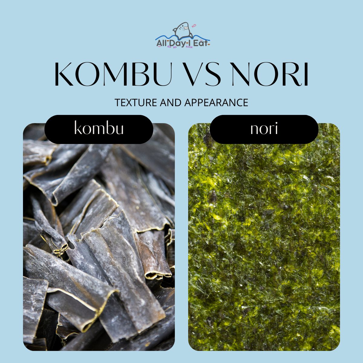 Kombu Vs Nori (5 Facts About These Delicious Seaweeds)