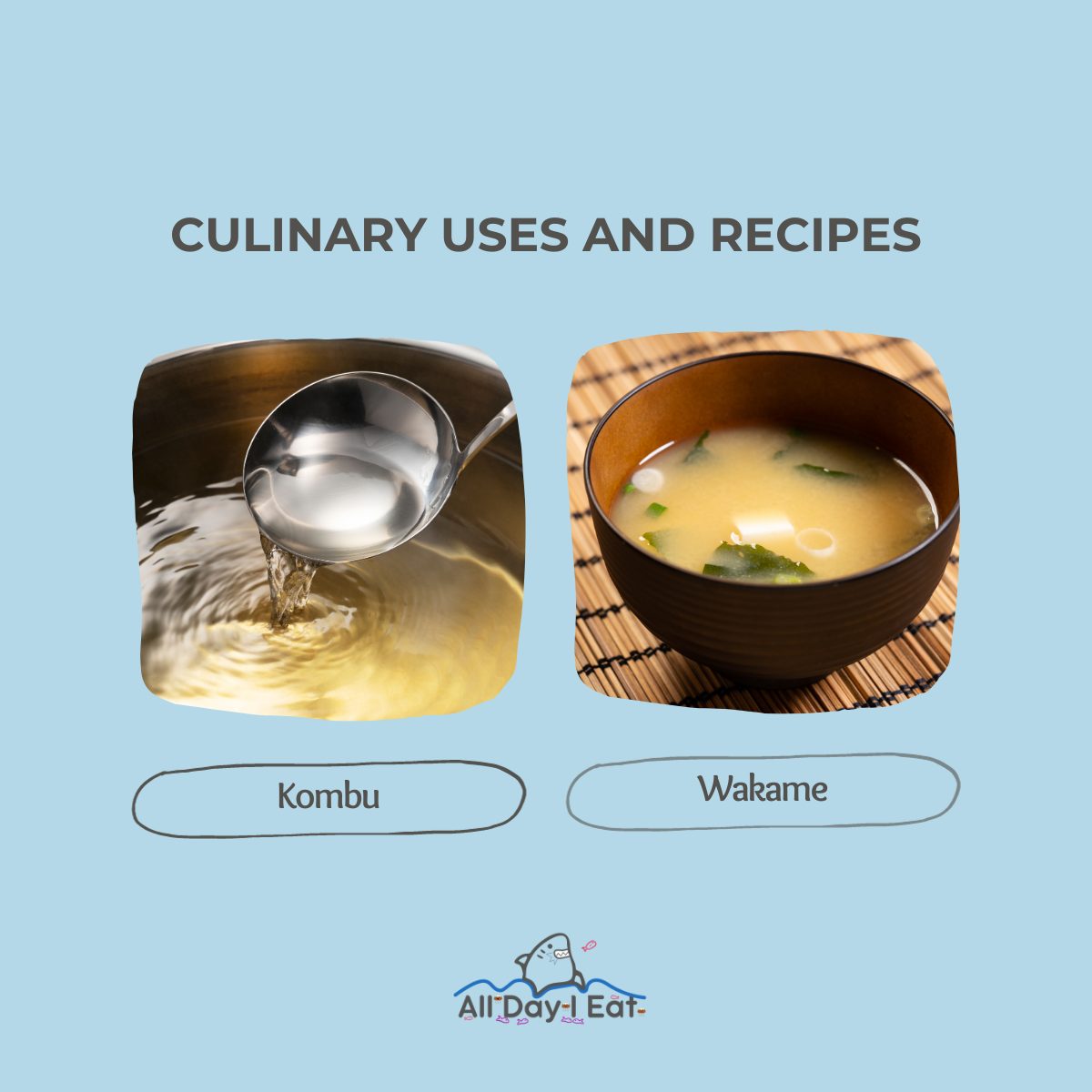 Kombu Vs Wakame (5 Facts About These Delicious Seaweed Varieties)