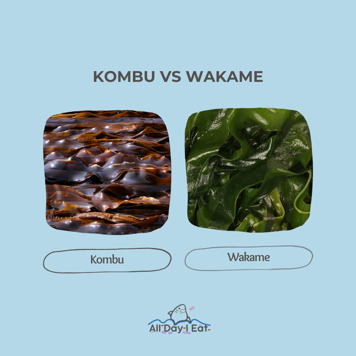 Kombu Vs Wakame (5 Facts About These Delicious Seaweed Varieties)