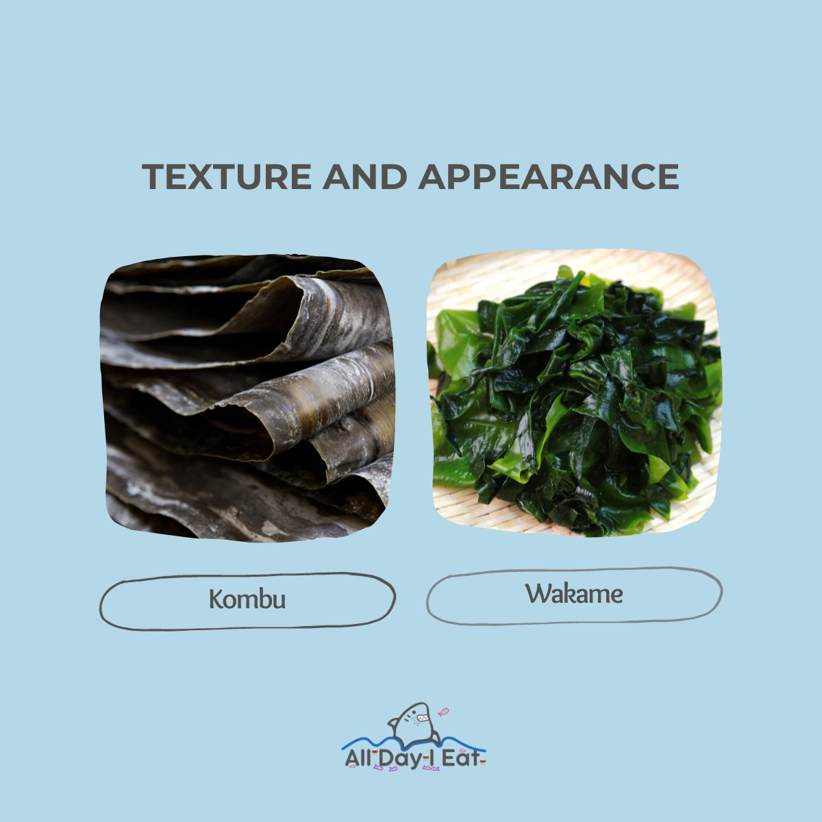 Kombu Vs Wakame (5 Facts About These Delicious Seaweed Varieties)