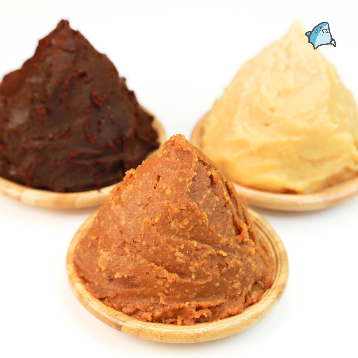 Miso Powder Vs Miso Paste (3 Reasons Why The Other Is A Great Choice)