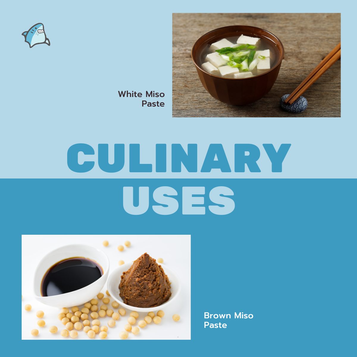 White Miso Paste Vs Brown Miso Paste (5 Facts About These Two Popular ...