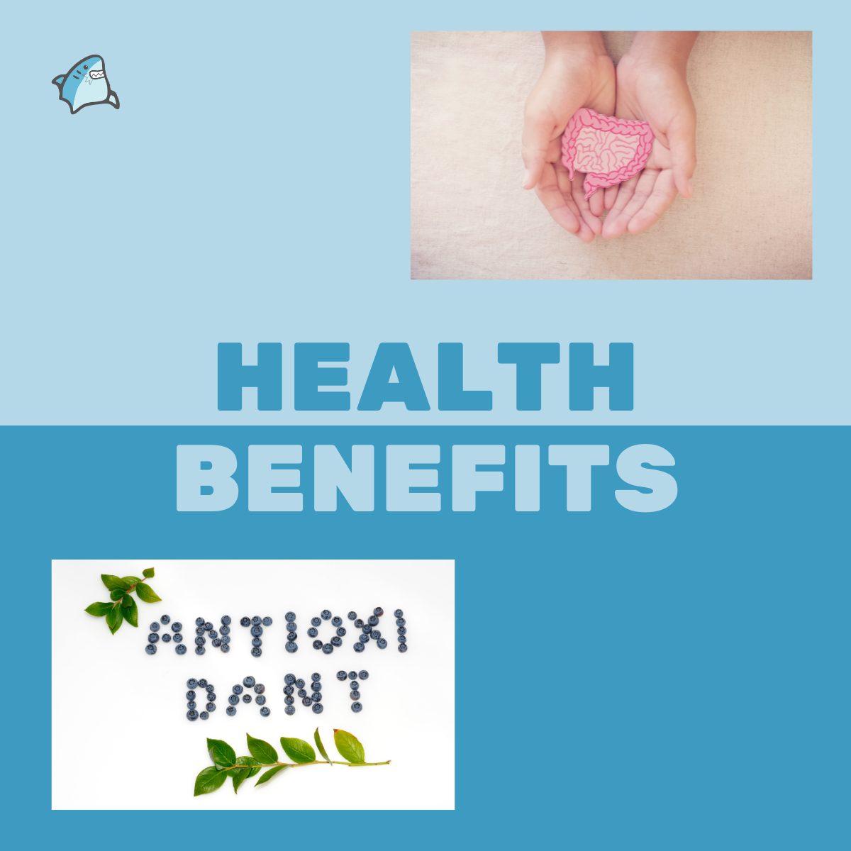 White Miso Paste Vs Brown Miso Paste (5 Facts About These Two Popular ...