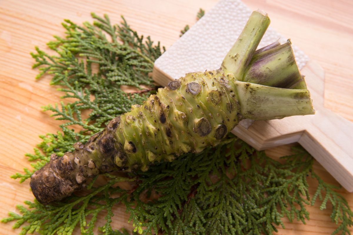 Wasabi: Real Vs. Imitation in Japanese Cuisine – all day i eat like a shark